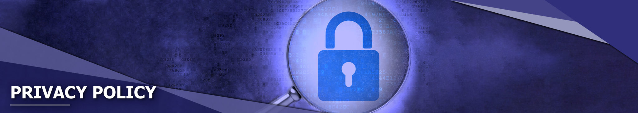 GDPR Privacy Policy | NEXSYS-ONE